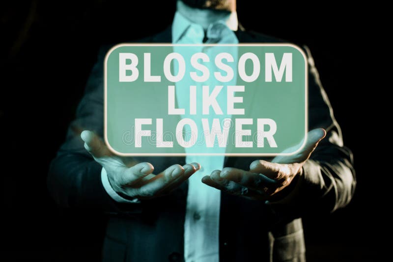Conceptual Display Blossom Like Flower. Business Overview Person with ... Conceptual Display Blossom Like Flower. Business Overview Person with ...