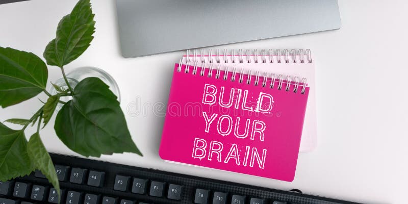 Conceptual Display Build Your Brain. Business Overview Mental ... Conceptual Display Build Your Brain. Business Overview Mental ...