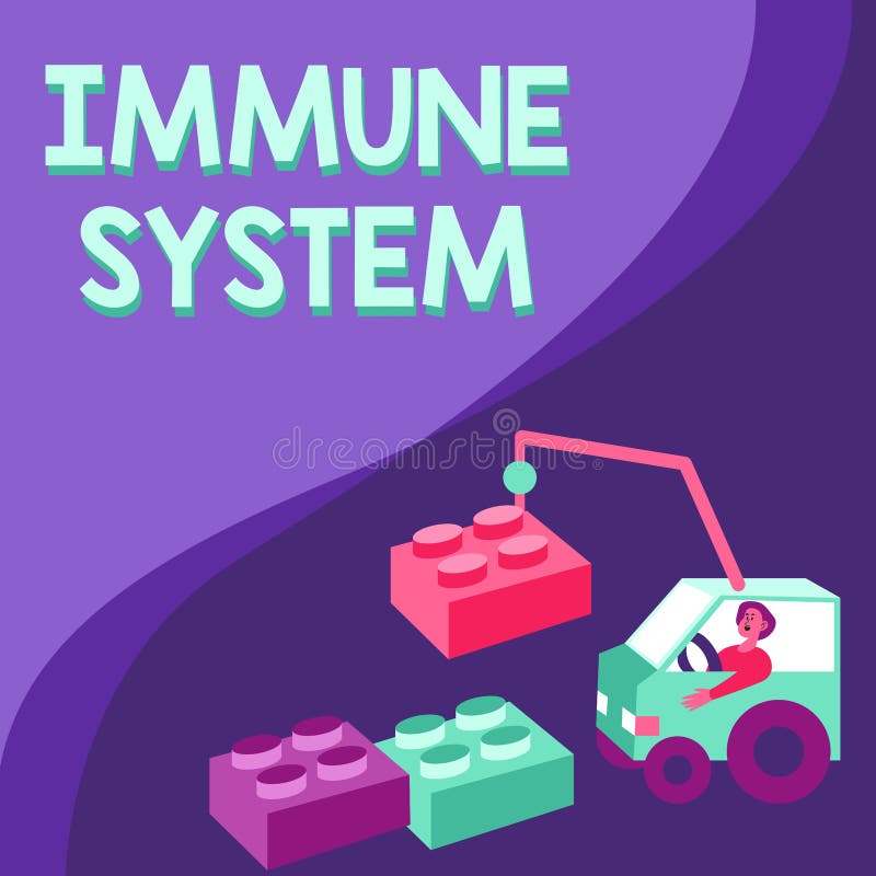 Writing Displaying Text Immune System. Conceptual Photo Host Defense ... Writing Displaying Text Immune System. Conceptual Photo Host Defense ...
