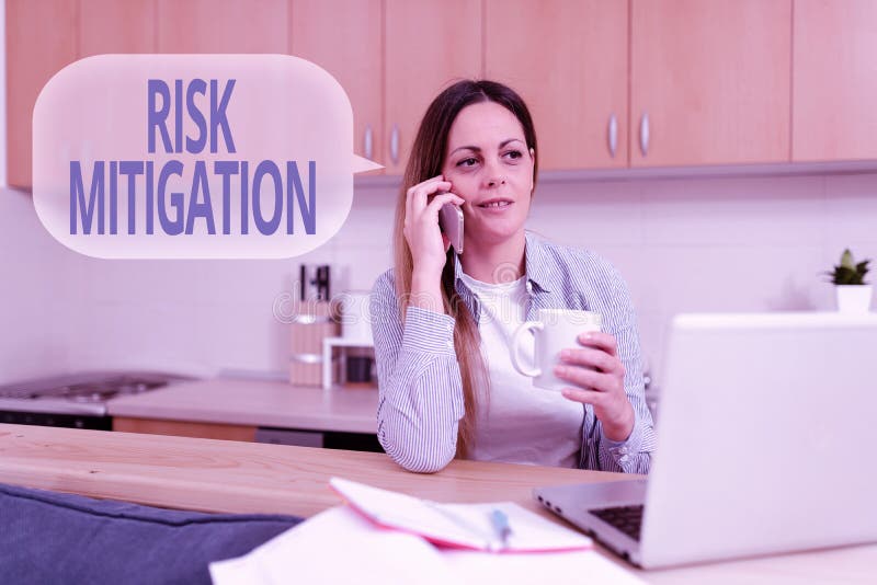 Conceptual Display Risk Mitigation. Business Overview Strategy To ...