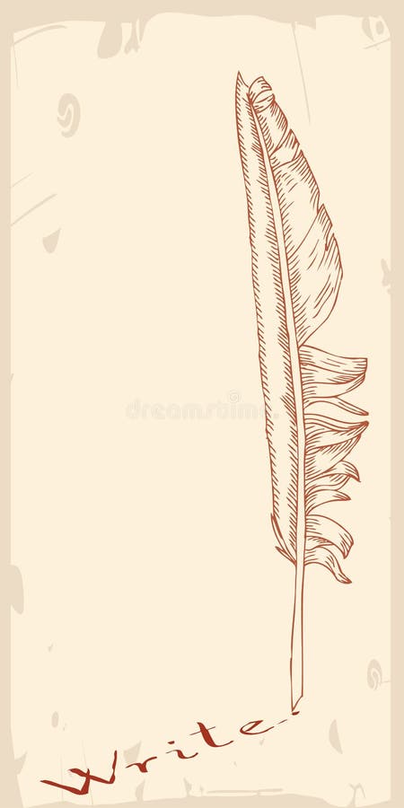 Writing feather background stock vector. Illustration of elegant - 24338731