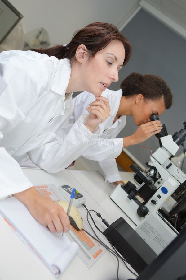 She Writing Observed Details Stock Image - Image of class, education ...