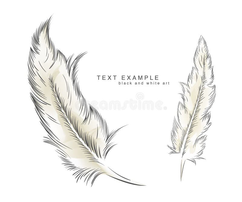 Feather Text Stock Illustrations – 20,845 Feather Text Stock ...