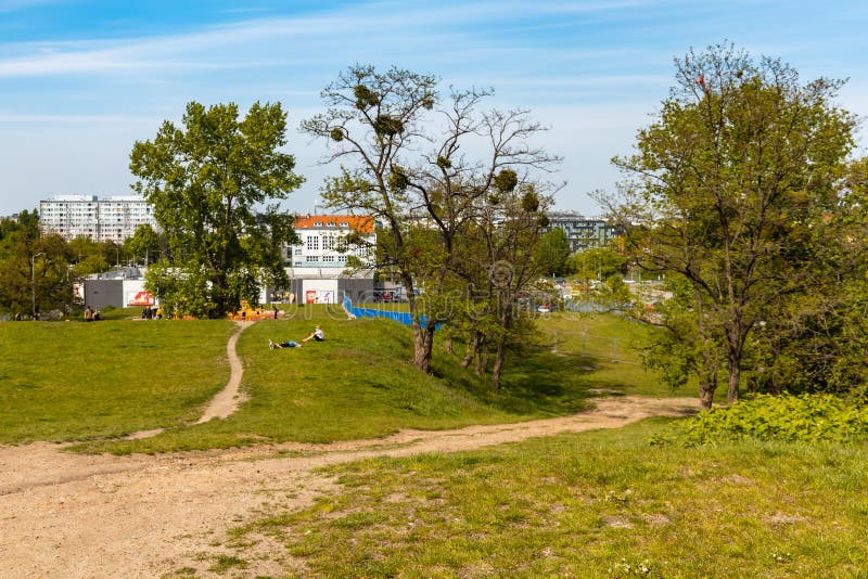 Footpaths on Hill between Trees and Bushes Editorial Image - Image of ...