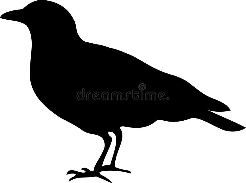 Wrona Stockowych Ilustracji, Wektorów & Klipartów – (15,615 Stock ...