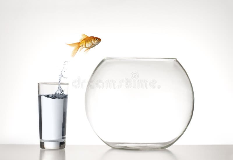 Wrong Move stock illustration. Illustration of fish, animal - 19619165