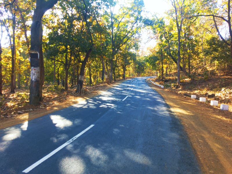 Wrong Turn in Jungle with Trees and Greenery Highway of India. Stock ...