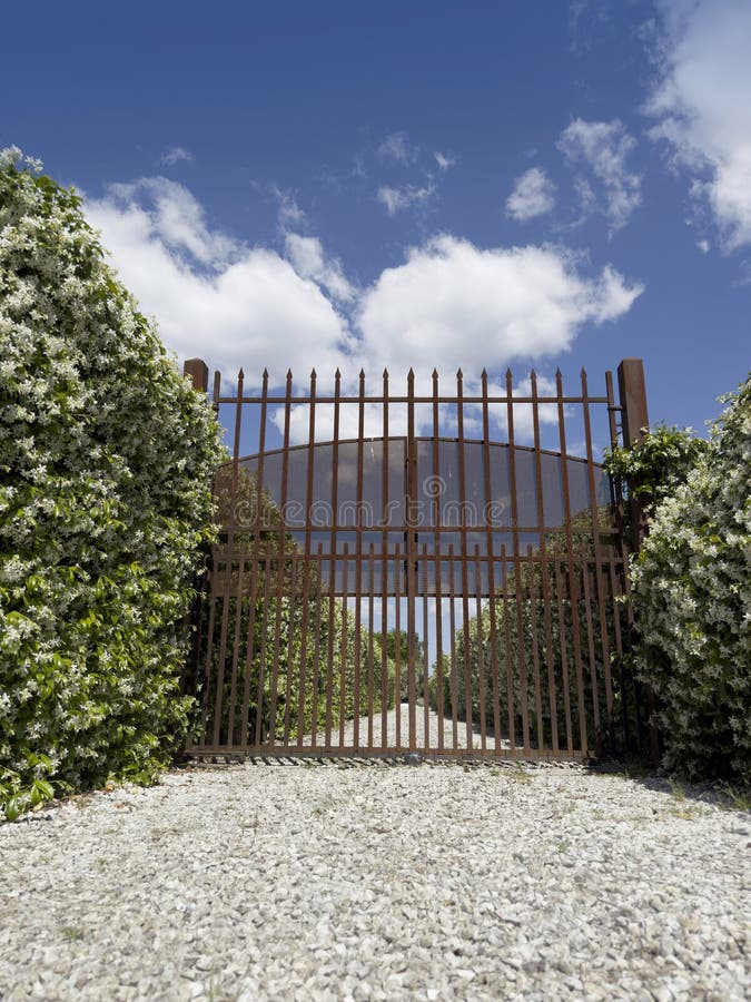 Wrought Iron Gate between Flowering Hedges of Jasmine Under a Clear Sky ...