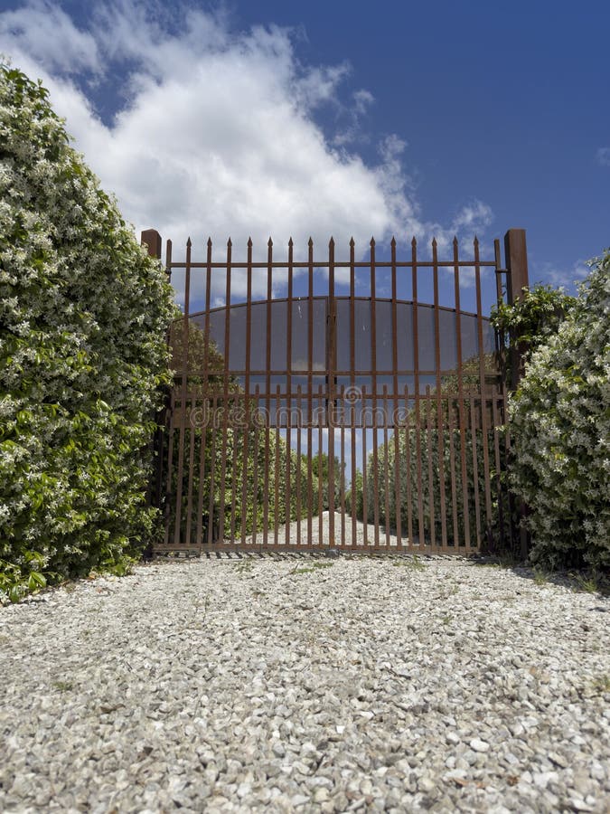 Wrought Iron Gate between Flowering Hedges of Jasmine Under a Clear Sky ...