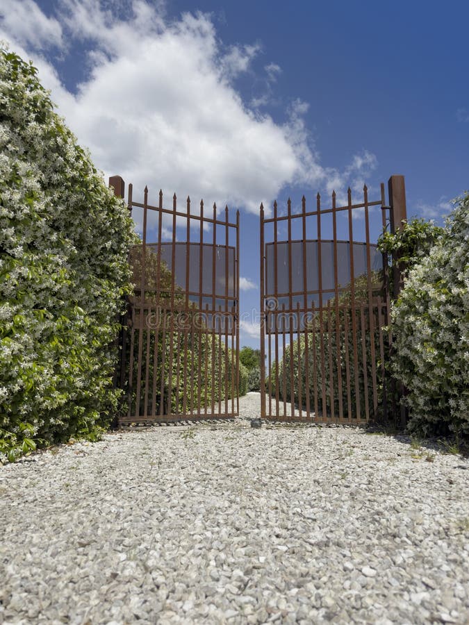 Wrought Iron Gate between Flowering Hedges of Jasmine Under a Clear Sky ...