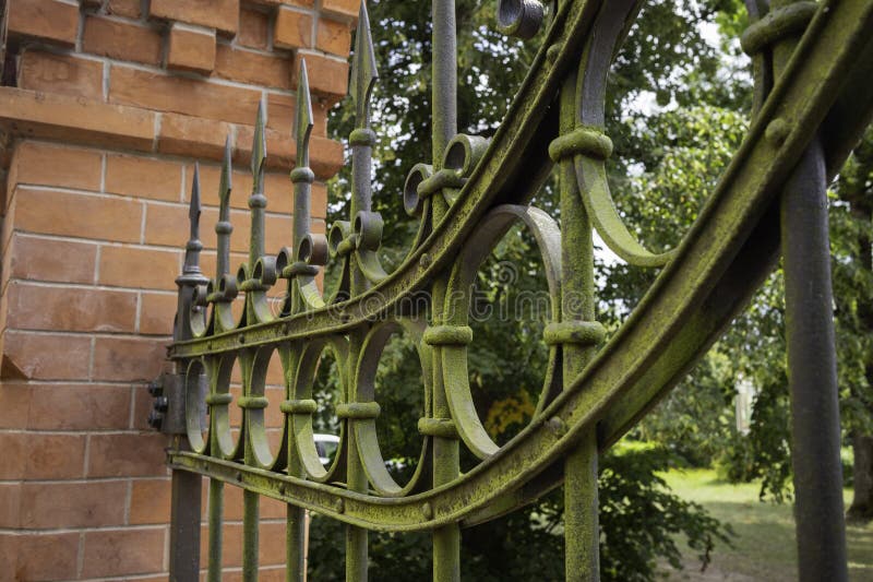 A Wrought Iron Gate with Green Moss Growing on it Stock Image - Image ...