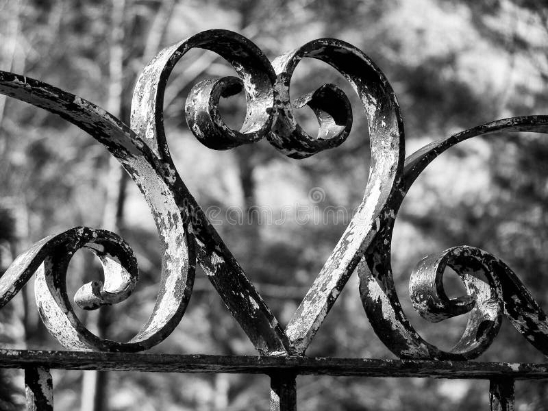 Wrought iron heart stock photo. Image of sepia, gate - 50106482