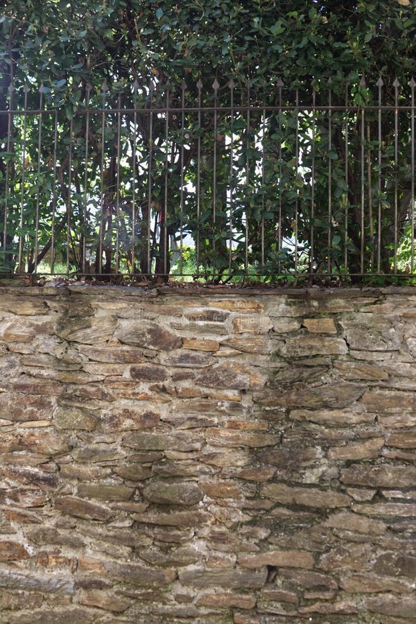 914 Grass Railing Pattern Stock Photos - Free & Royalty-Free Stock ...