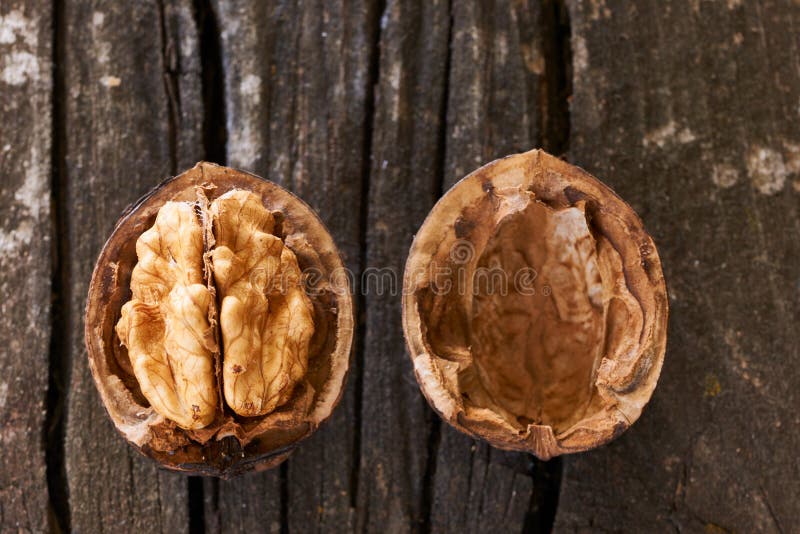 Wtwo Walnuts Stock Photos - Free & Royalty-Free Stock Photos from ...