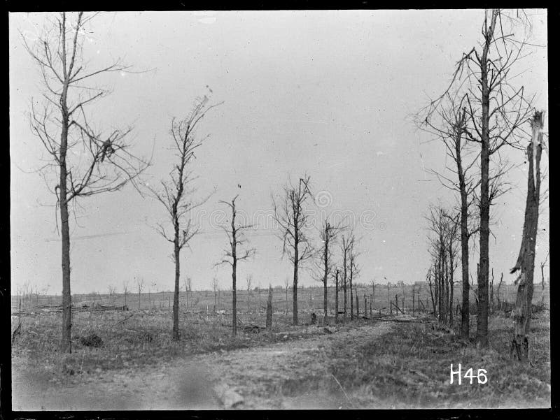 The Wulverghem Road Looking Towards Messines, World War I Picture ...