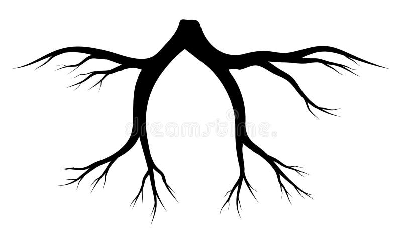 Wurzelschattenbildvektorsymbol-Ikonendesign Vektor Abbildung ...