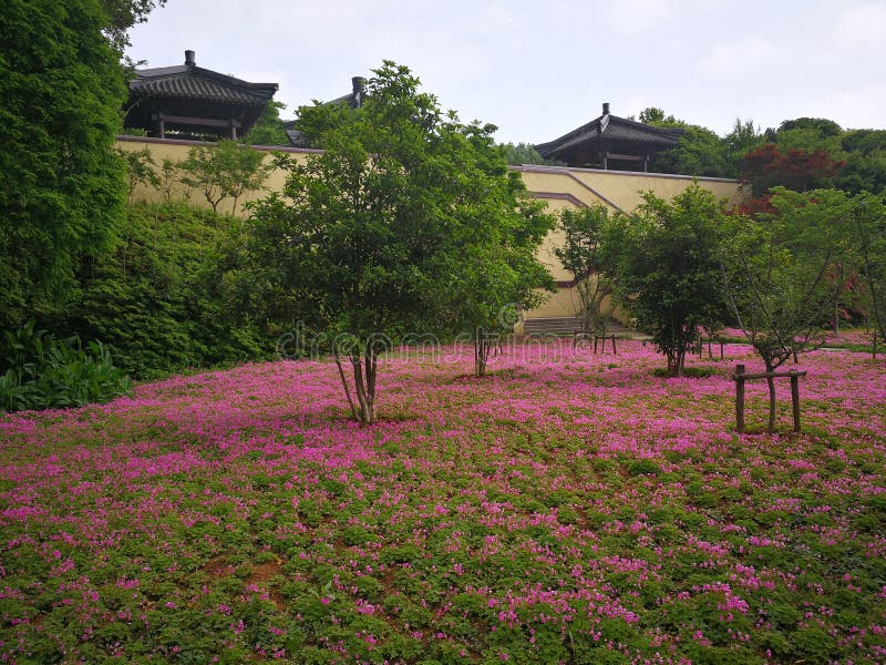 Wuxi film studio editorial stock photo. Image of film - 92670953