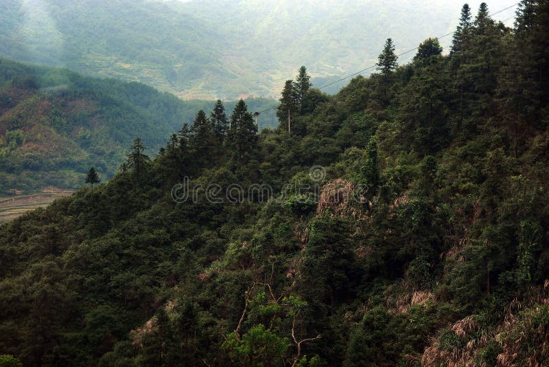 Wuyuan County, Jiangxi, China Stock Photo - Image of jungle, escarpment ...
