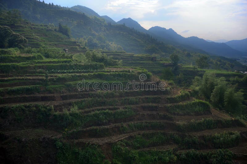 Wuyuan County, Jiangxi, China Stock Image - Image of farm, chinese ...