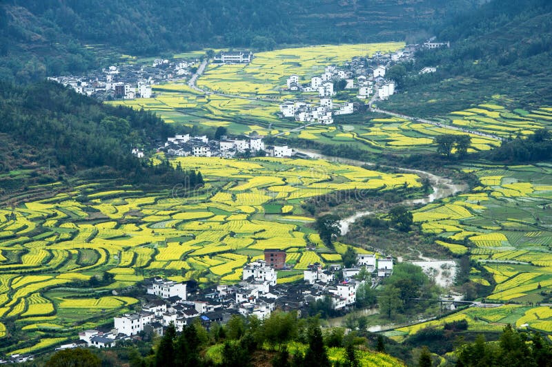 Wuyuan stock photo. Image of beautiful, wuyuan, spring - 30408900
