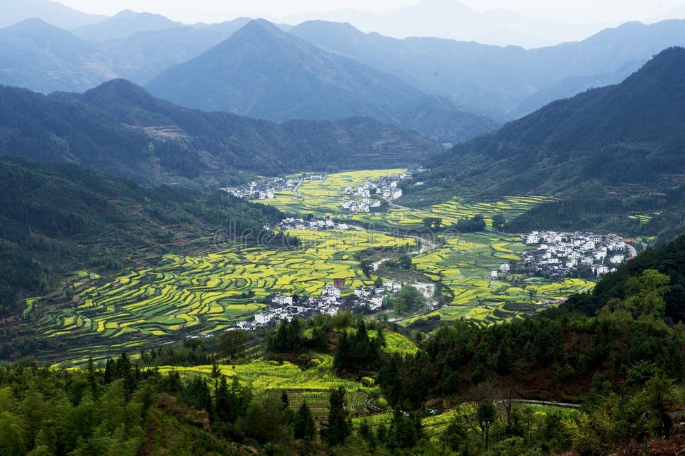 Wuyuan stock photo. Image of china, beautiful, flowers - 30408904