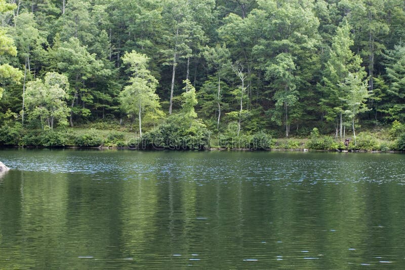Rock Cliff Lake stock photo. Image of rural, lake, natural - 2959410