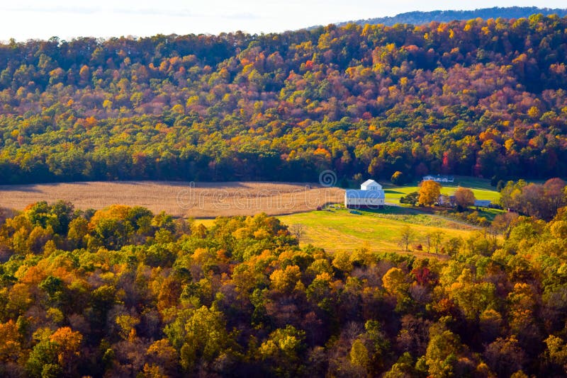 Autumn Farm Scene stock photo. Image of stream, trees - 6878252
