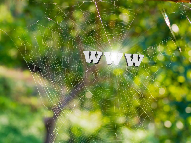 Spider on Computer Keyboard Stock Photo - Image of computer, laptop ...