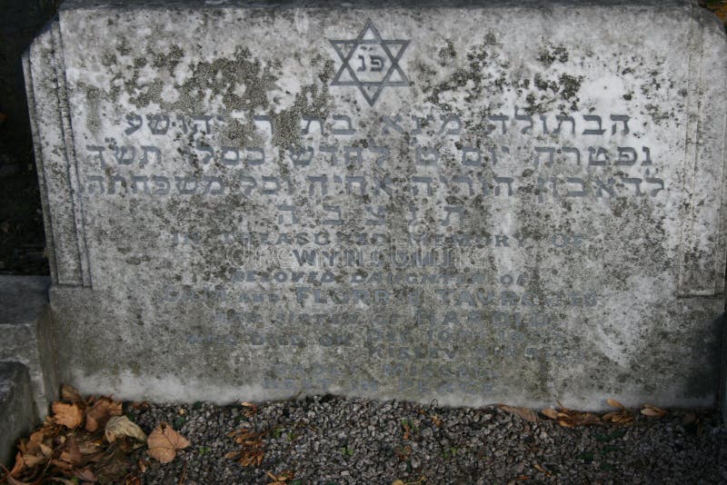 Wynsome Tavroges Picture. Image: 222347038