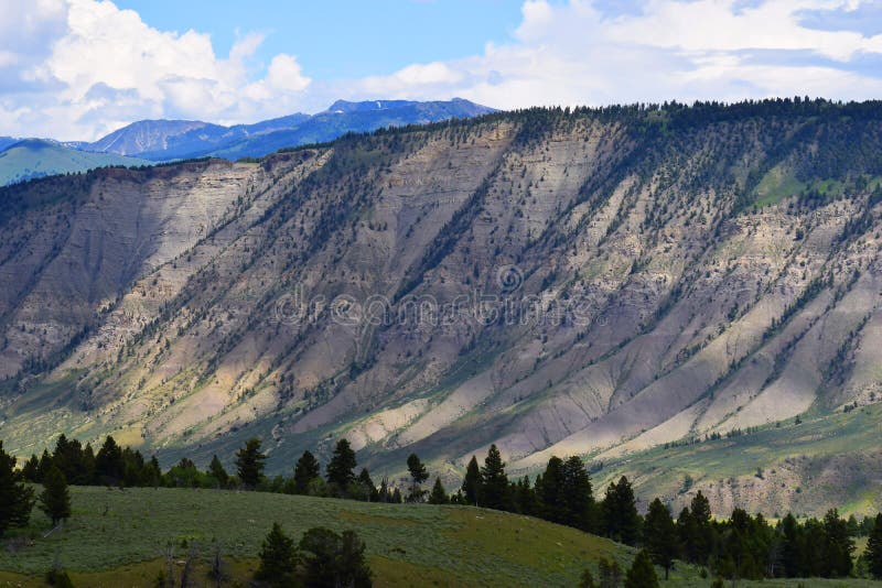 Wyoming Landscape Mountains and Trees. Stock Image - Image of natural ...
