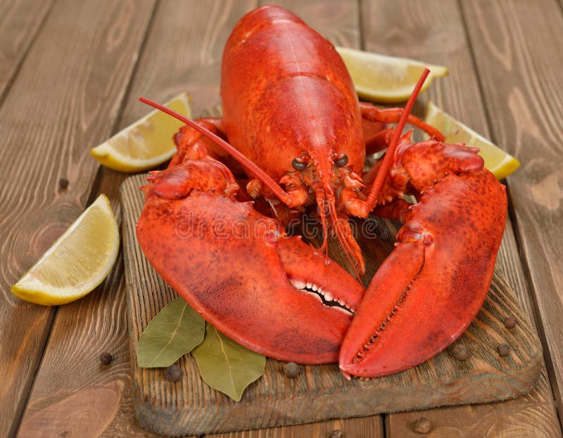 Wyparzonych homar obraz stock. Obraz złożonej z seafood - 51040539