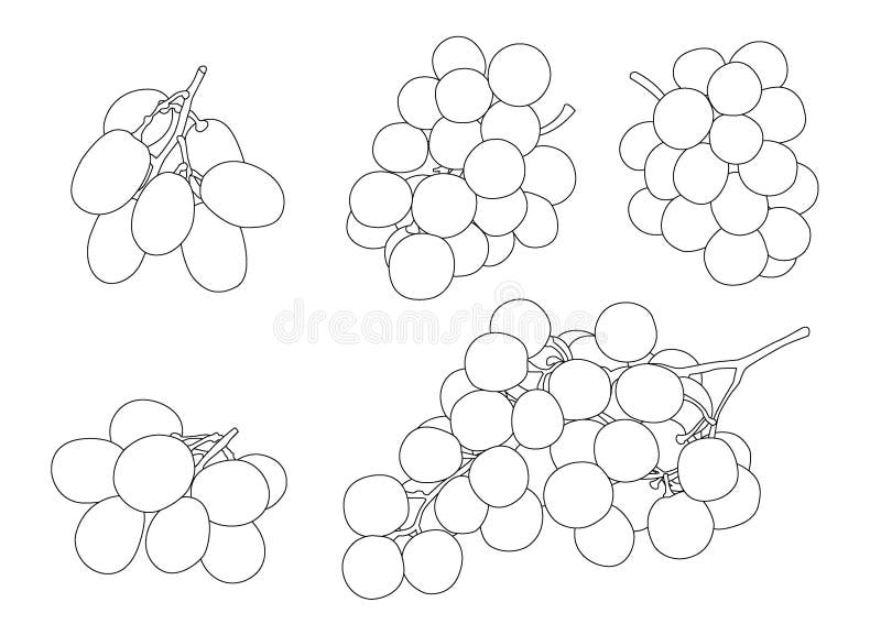Raisin Line Stock Illustrations – 541 Raisin Line Stock Illustrations ...