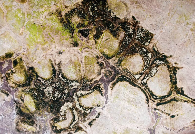 X22 Dark Patterns Stock Photos - Free & Royalty-Free Stock Photos from ...