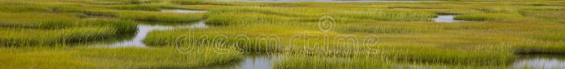 728 X 90 Banner of Marsh in Cape Cod, Massachusetts Stock Image - Image ...
