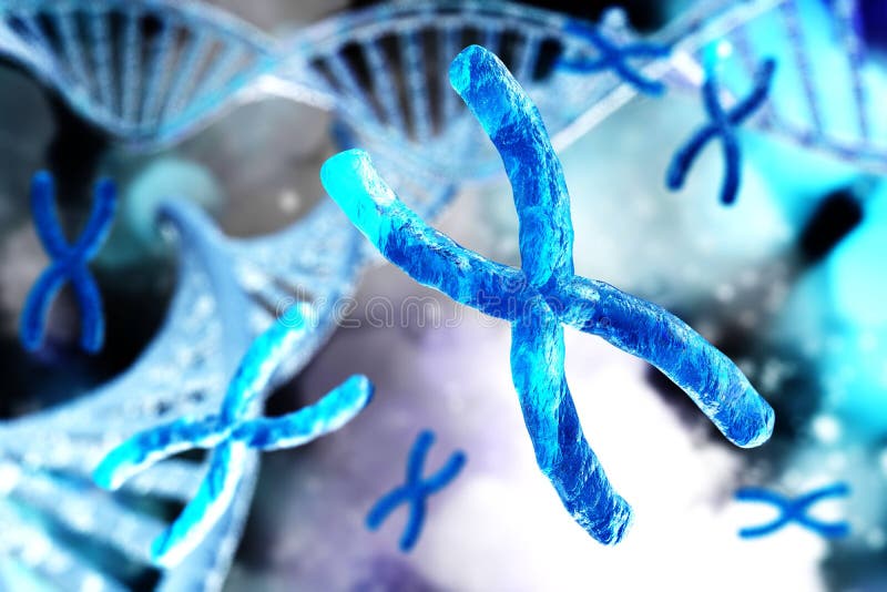 X chromosome and DNA stock illustration. Illustration of helix - 136381569