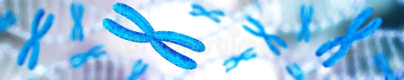 X chromosome, DNA stock illustration. Illustration of structure - 188660872