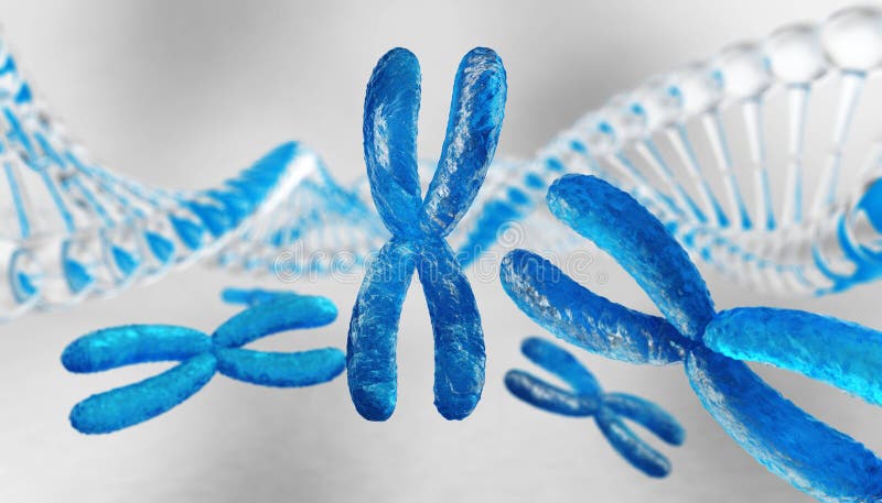 X chromosome and DNA stock illustration. Illustration of helix - 136381569