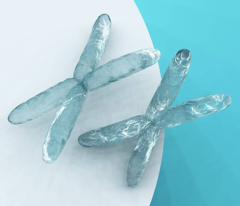 X Chromosome, Spiral DNA, 3d Rendering. Stock Illustration ...