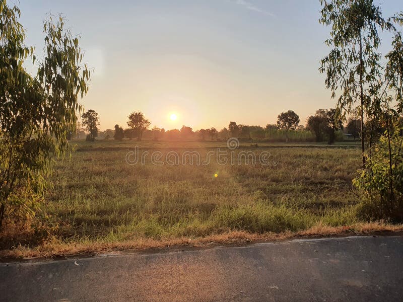 The Emergence of Humanity stock photo. Image of developed - 258052956