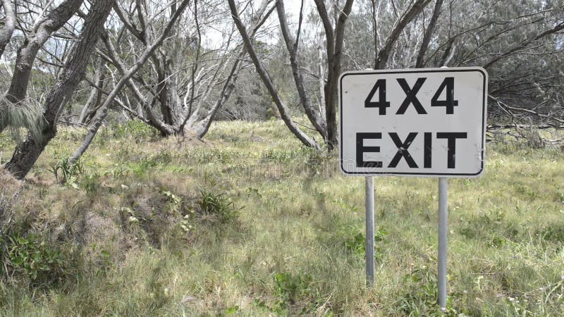 4x4 Forest Exit Track stock footage. Video of digital - 36247089