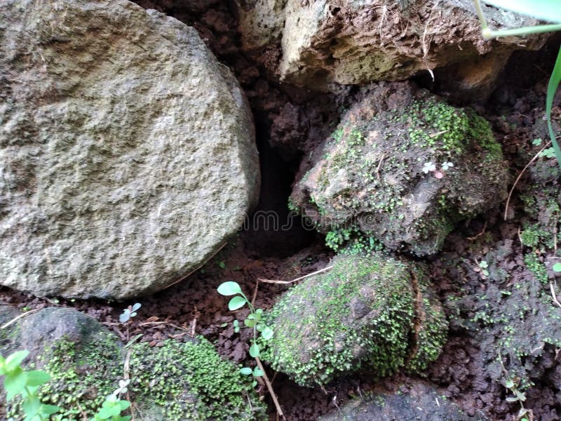 & X22;a Hidden Hole within the Rocks.& X22; Stock Image - Image of ...