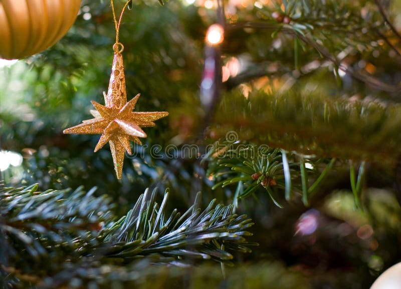 X-mas star stock image. Image of star, sitting, gold, holidays - 7434097