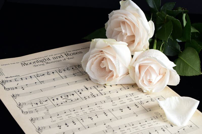 "Moonlight and Roses" Music Note Sheet with Beautiful White Roses on ...