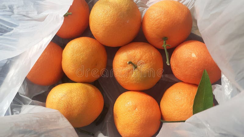 Orange in a Plastic Bag stock image. Image of nutrition - 347445837