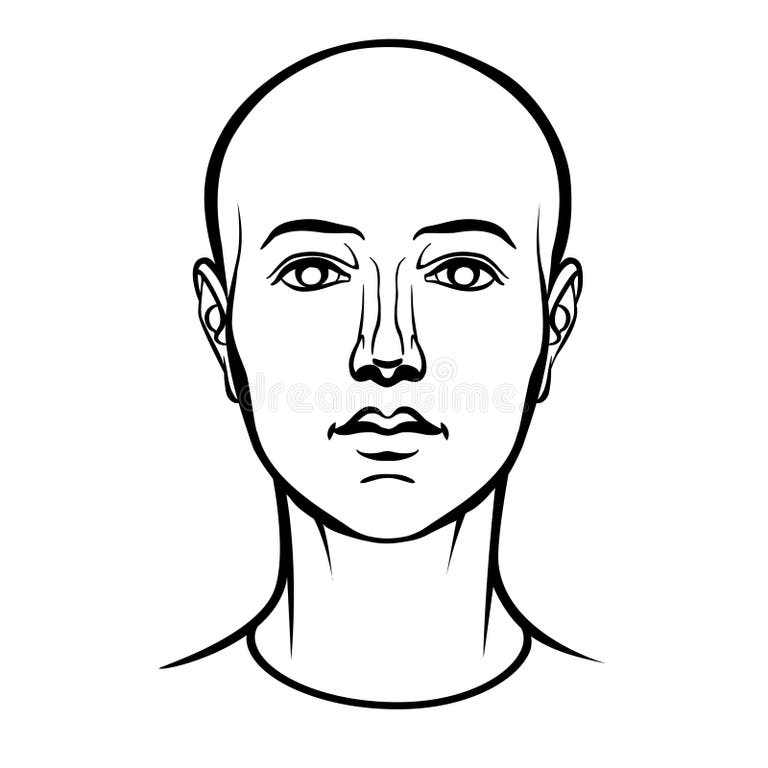 Human Head Outline Front View Stock Illustrations – 1,454 Human Head ...