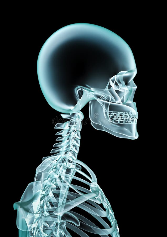 X-Ray kiss close up stock illustration. Illustration of humanoid ...