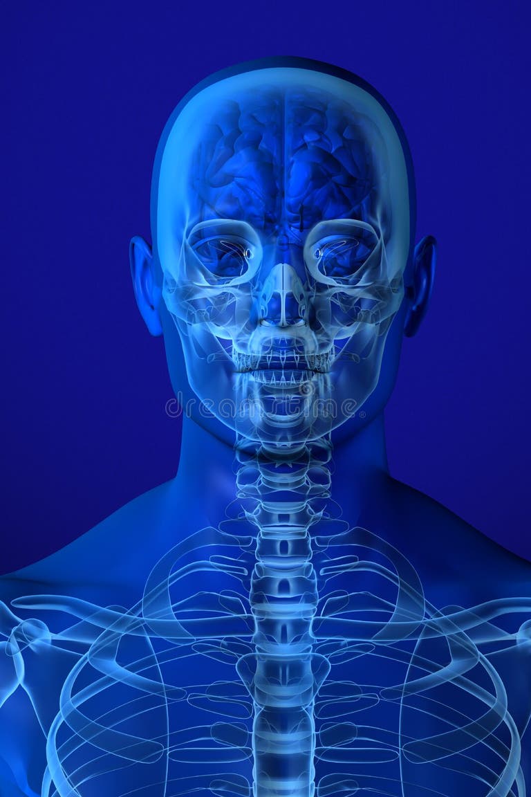 Anatomy Human Blue Ray Stock Illustrations – 7,018 Anatomy Human Blue ...