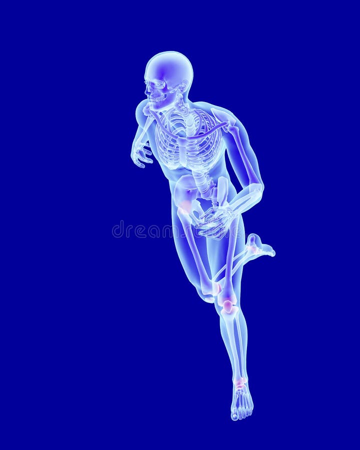 Running man anatomy study stock illustration. Illustration of biology ...