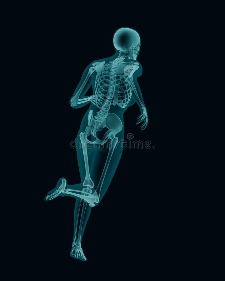 X-ray Anatomy of Running Woman Stock Illustration - Illustration of ...