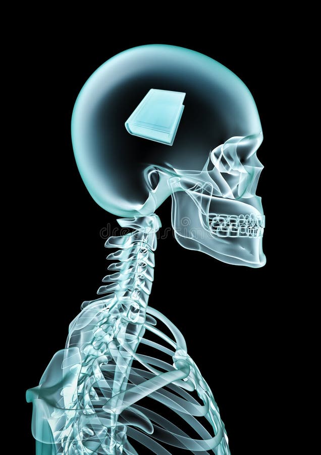 Man Book Head Stock Illustrations – 4,420 Man Book Head Stock ...